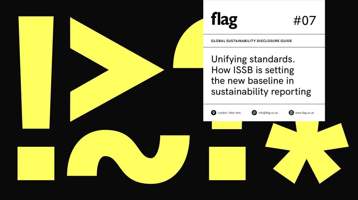 Understanding ISSB’s Global Sustainability Standards