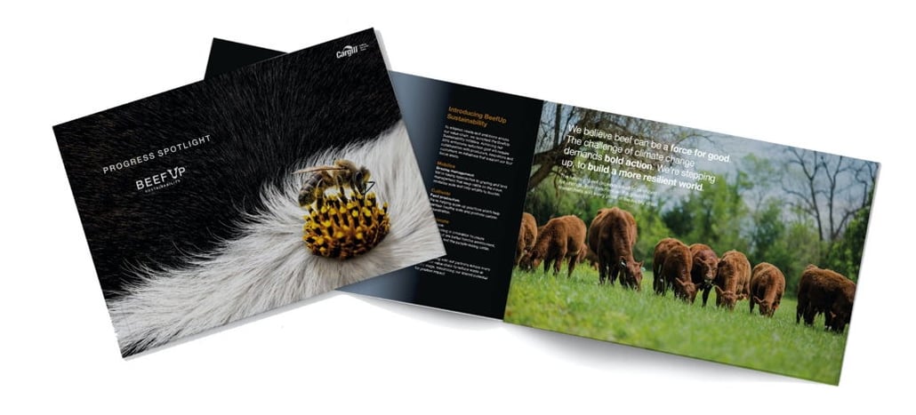 A more sustainable beef industry