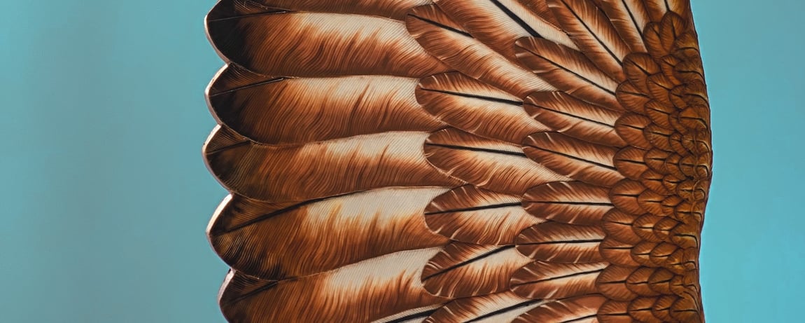 Charting the state of British nature